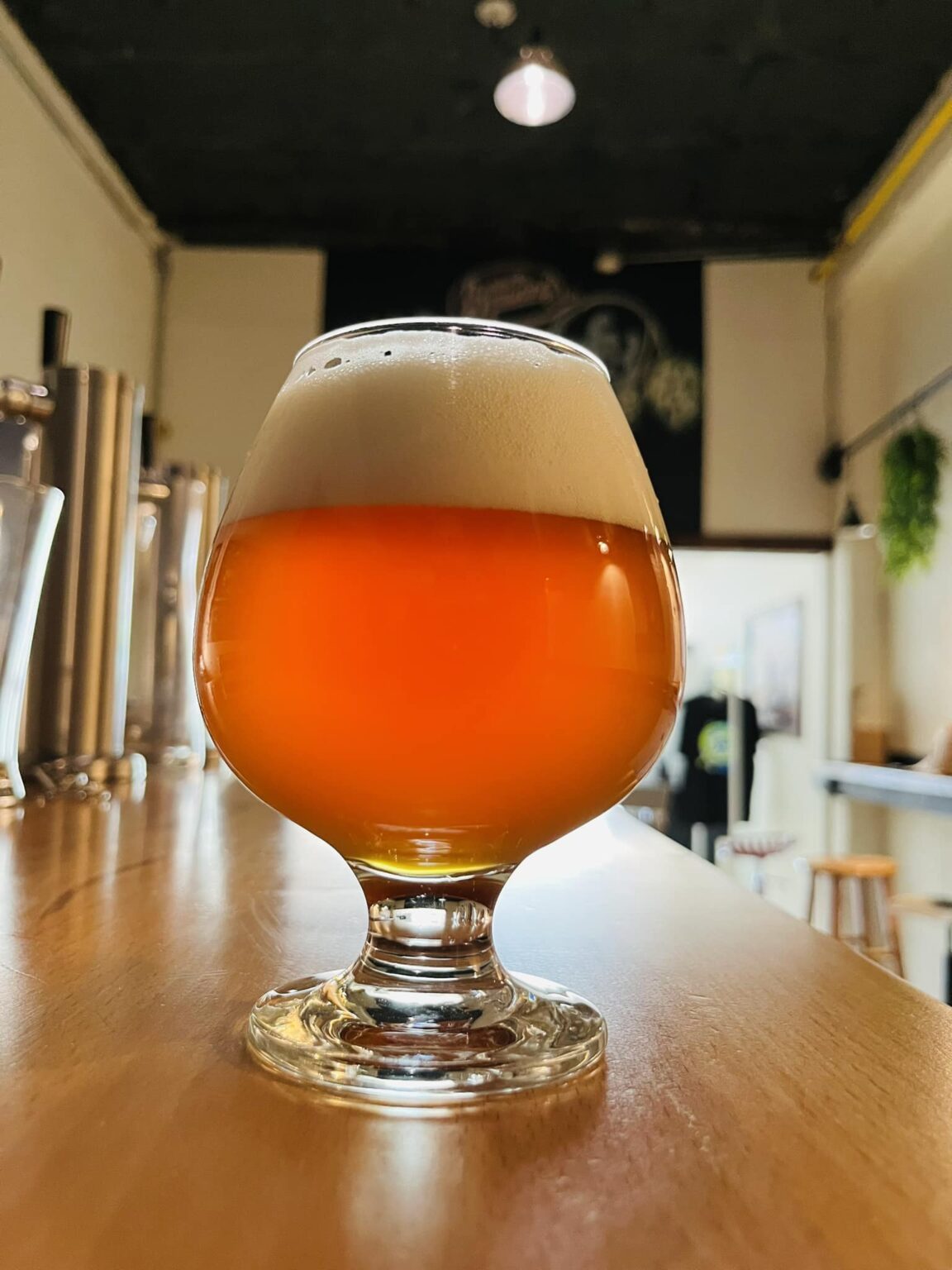 New Home - Puerto Rico Beer Guide